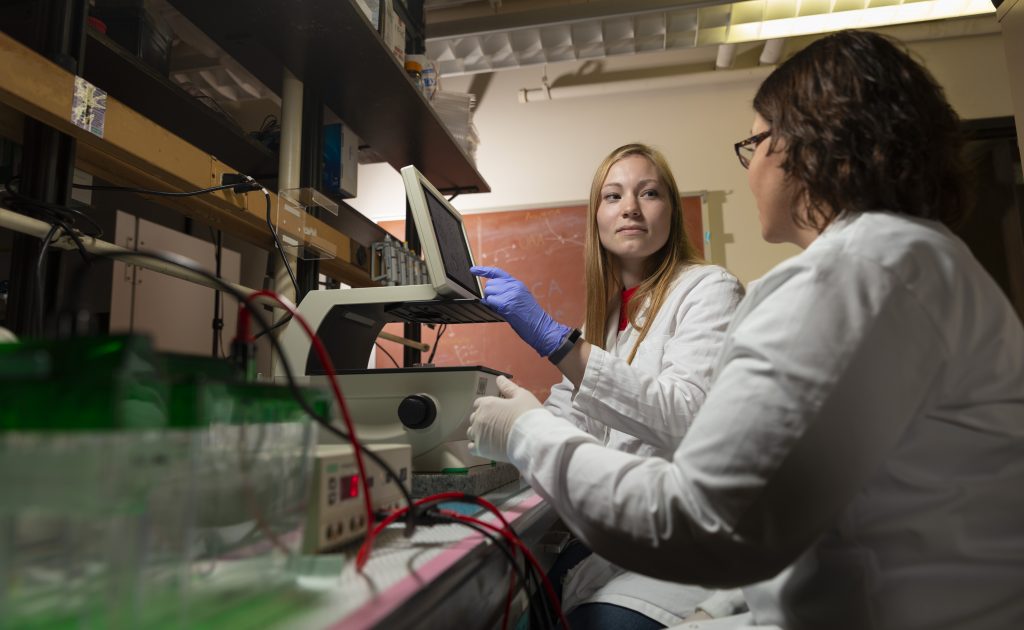 Working Hard – Dr. Heather White's Lab