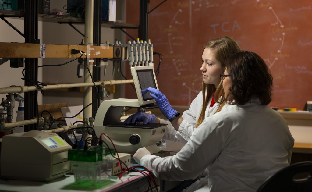 Working Hard – Dr. Heather White's Lab