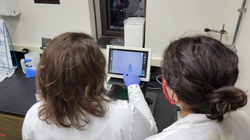 Dr. Heather White's Laboratory | Moo-ving Dairy Cow Nutrition Forward